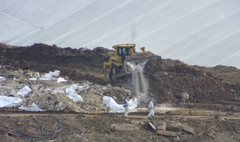 El lindano continúa siendo el presente de un legado tóxico - Tercera ...