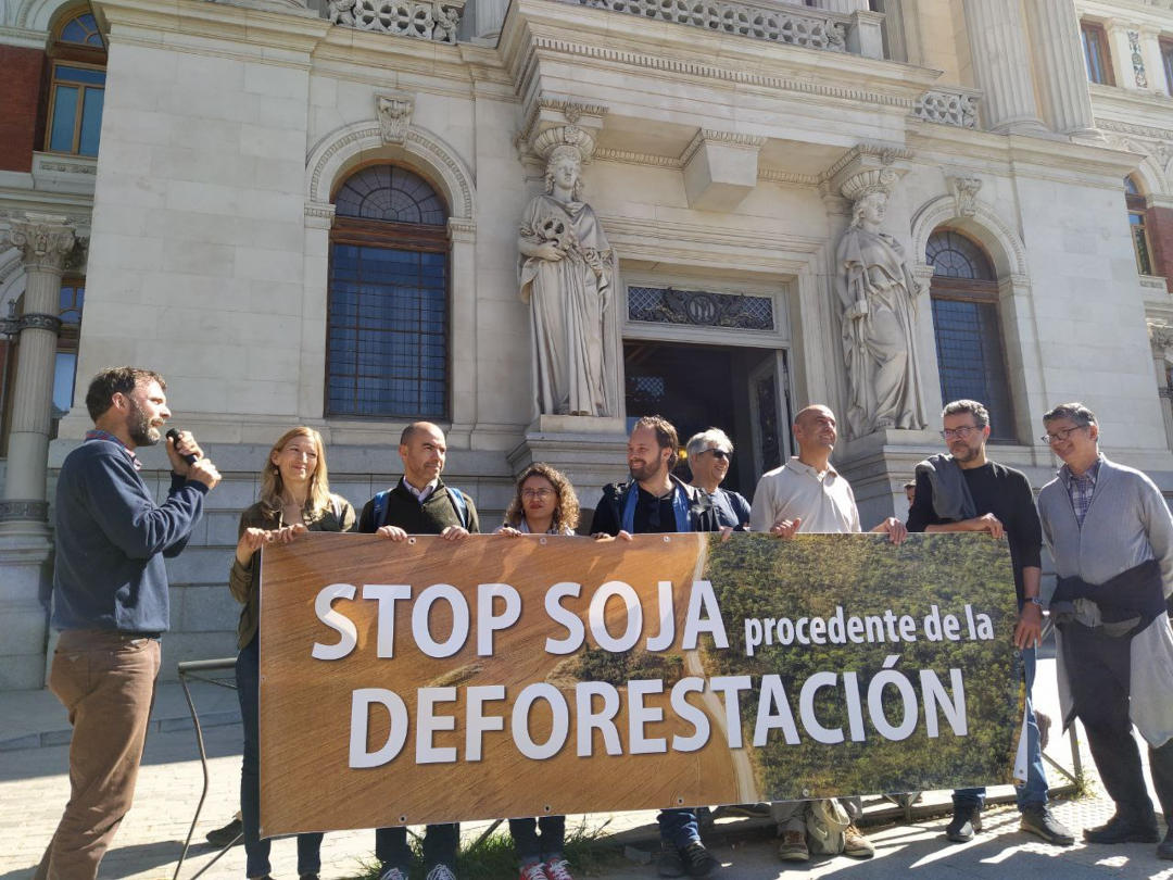 Activistas De Brasil Denuncian La Deforestación Y La Vulneración De