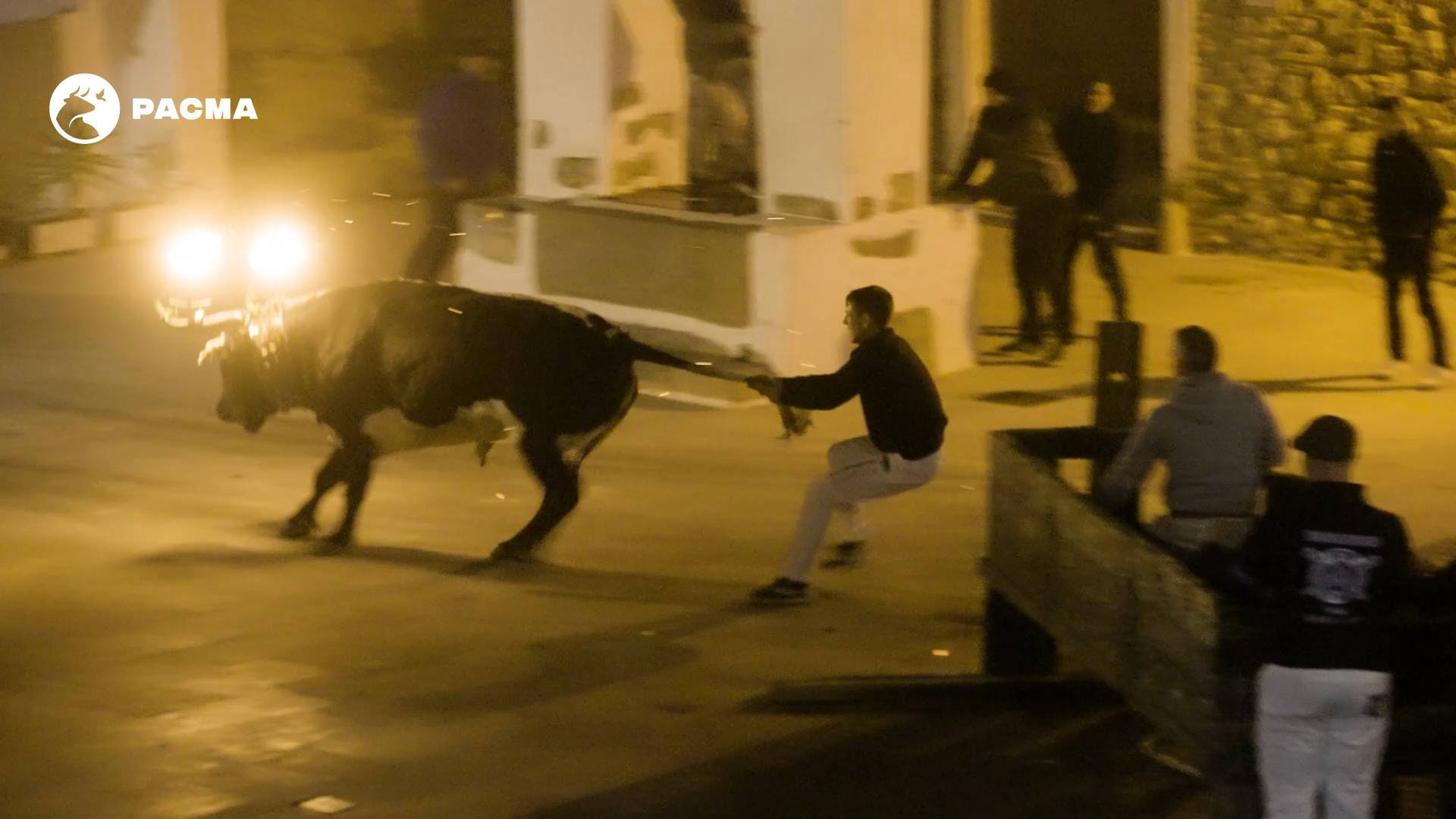 PACMA documenta un violento toro embolado en Oropesa del Mar - Tercera ...