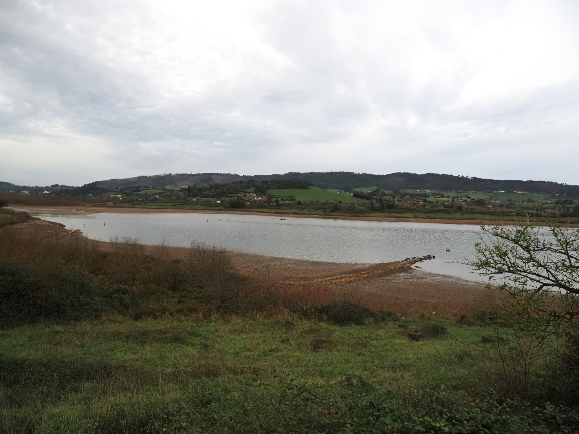 Arcelor Mittal amenaza a las aves del espacio natural de San Andrés en ...