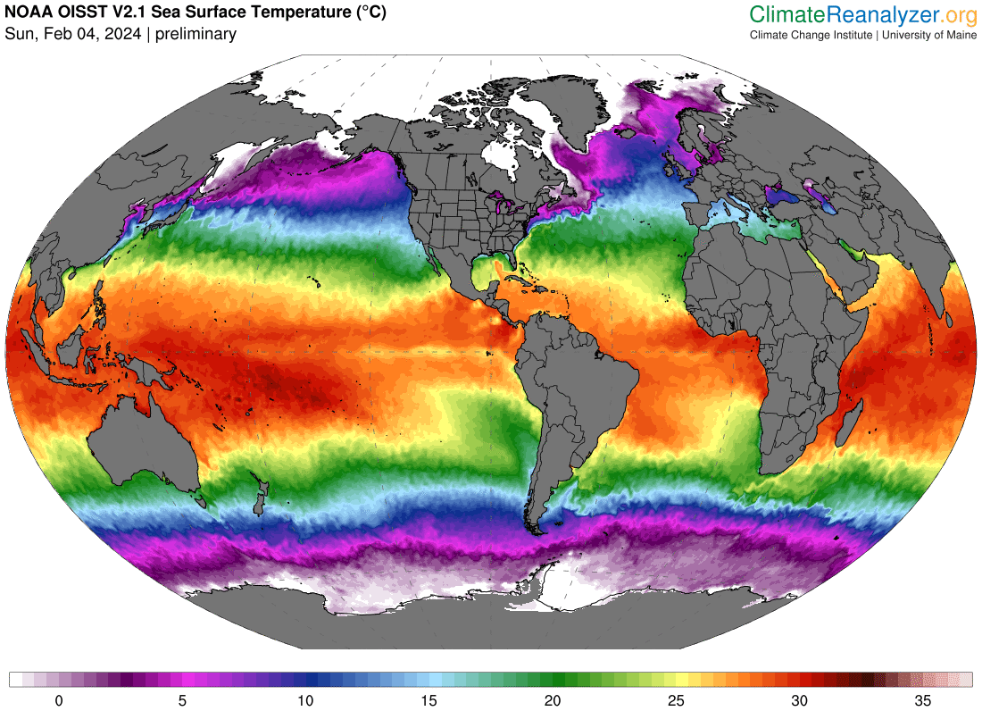 La Temperatura Oceánica Del Planeta Marca Un Nuevo Récord Histórico En