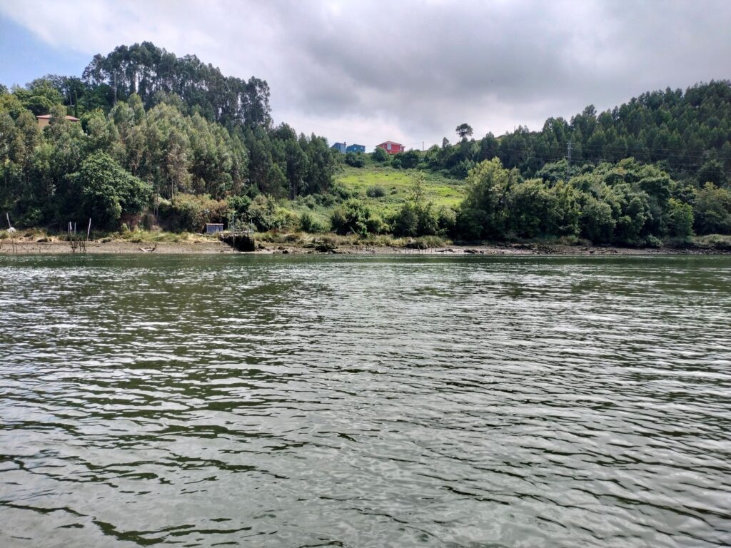 Coordinadora Ecoloxista d’Asturies: "Acaba la campaña de la pesca de la ...