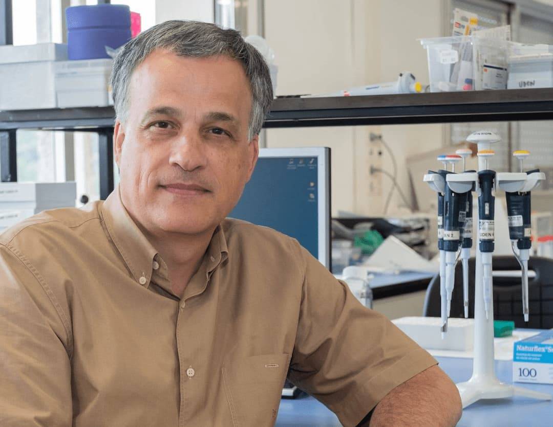 José Manuel Fernández–Real, experto en enfermedades metabólicas: “La microbiota nace y madura ...