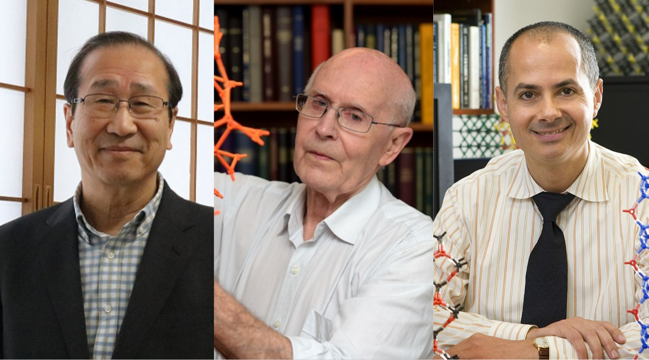 Kitagawa, Robson y Yaghi ganan el Nobel de Química 2025 por sus ...
