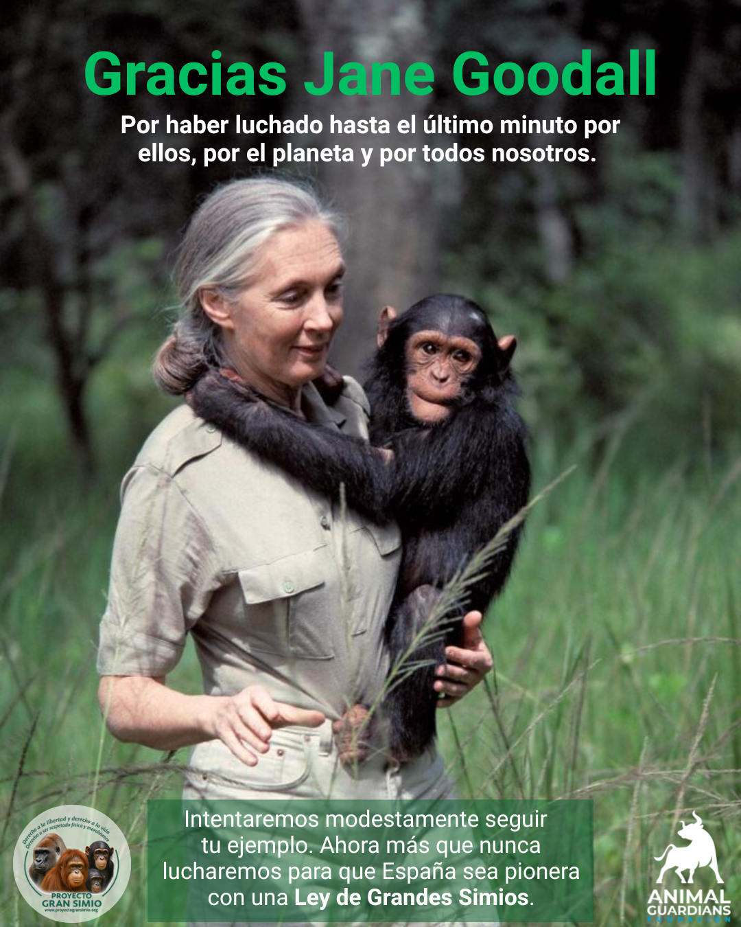 Proyecto Gran Simio, Fundación Animals Guardians y el Corredor ...