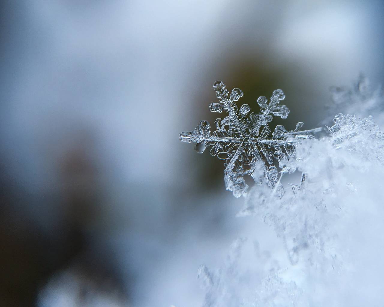 La física de los copos de nieve: ¿es cierto que no existen dos iguales ...