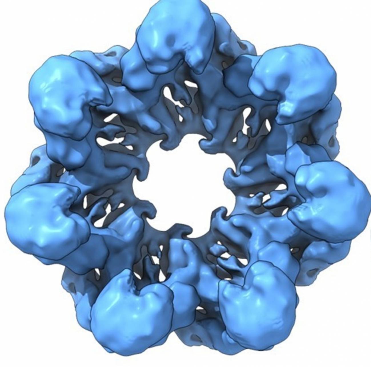 ‘Resucitan’ proteínas de hace 4 000 millones de años para descifrar la evolución celular ...